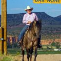 Smoky Grulla & Morgan Stallions WY