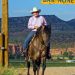 Smoky Grulla & Morgan Stallions WY