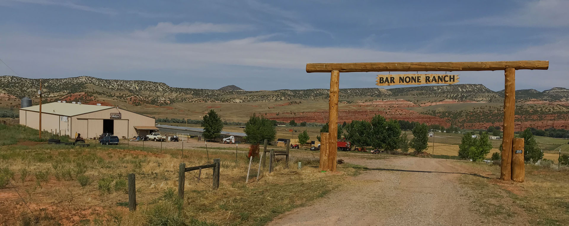 Morgan & Gaited Morgan Horses Wyoming | Bar None Morgan Ranch