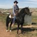 Smoky Grulla & Morgan Stallions WY
